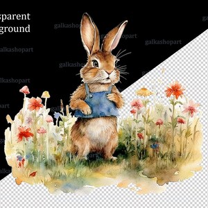 Floral Bunnies Watercolor PNG Clipart Set of 8: Graphics for Forest ...