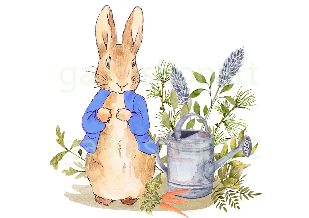 Clipart Peter Rabbit Greenery and Wildflowers Clip Art - Etsy