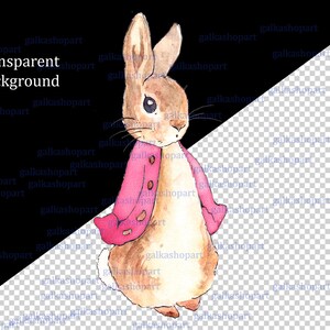 Peter Rabbit in Pink Jacket for Sublimation, Watercolor Clipart PNG ...