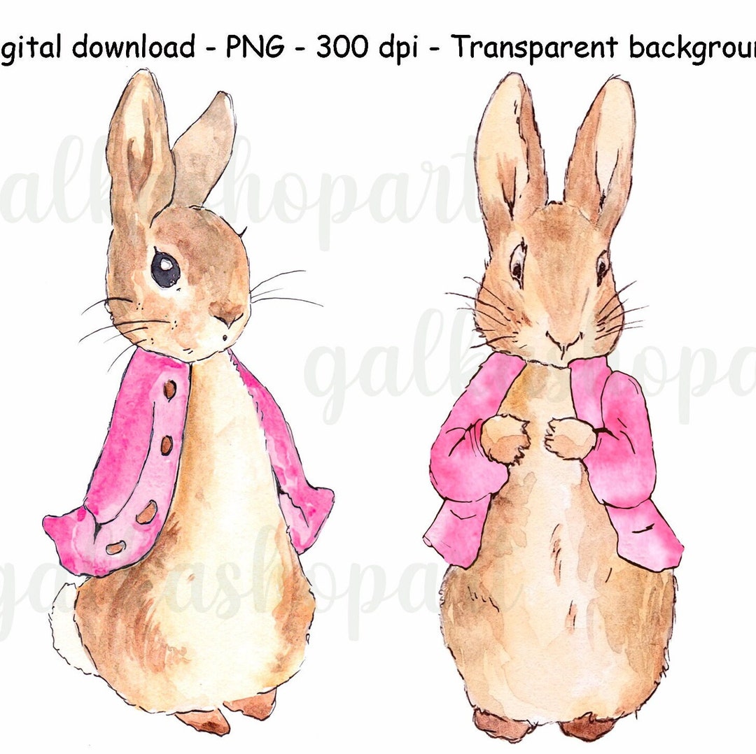 Peter Rabbit and Flopsy Bunny in Pink Jacket for Sublimation, A3 ...
