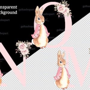 Peter Rabbit Light Pink Alphabet Clipart: Set of 26 Individual Letters ...