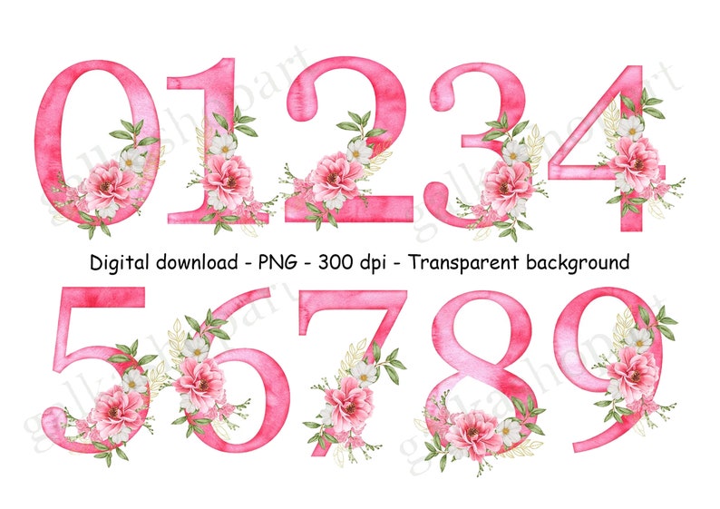 Pink Watercolor Floral Number PNG Individual Number Clipart - Etsy