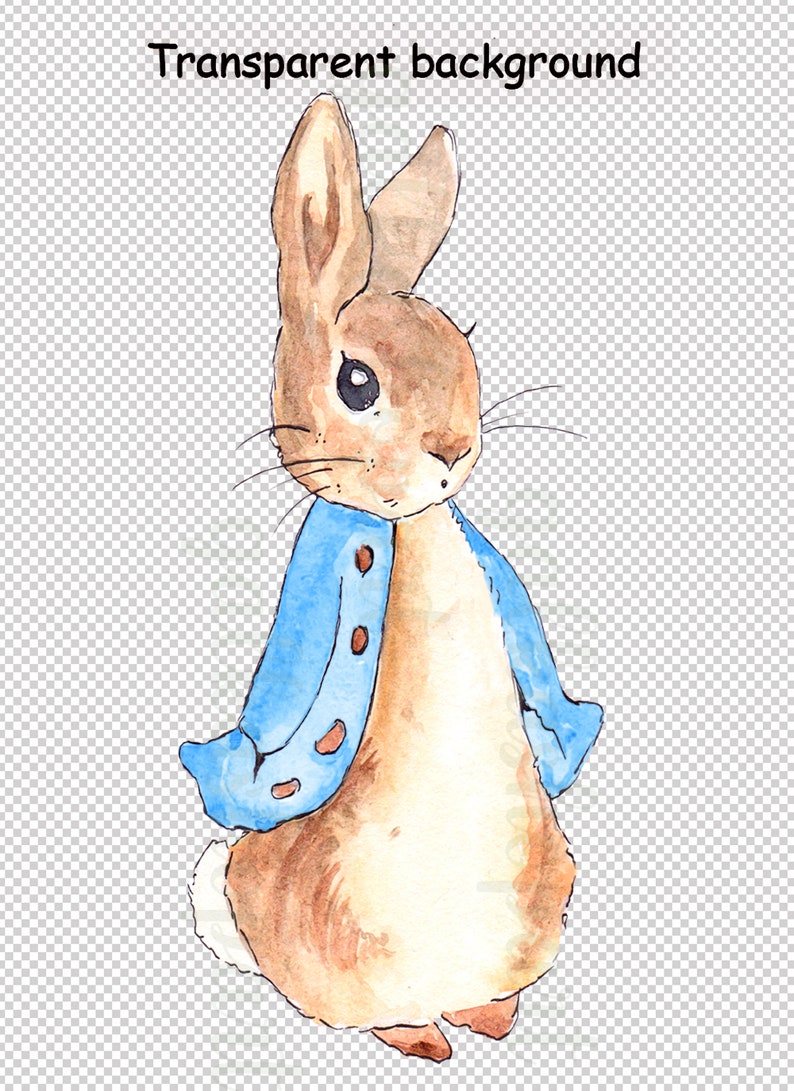 Peter Rabbit and Flopsy Bunny in Blue Jacket for Sublimation, A3 ...