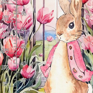 Customizable Peter Rabbit Growth Chart, Personalized Height Chart for ...