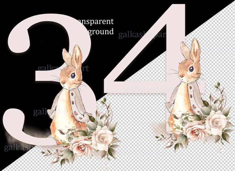 Peter Rabbit Numbers Clipart: Set of 10 Individual Beige Numeral ...