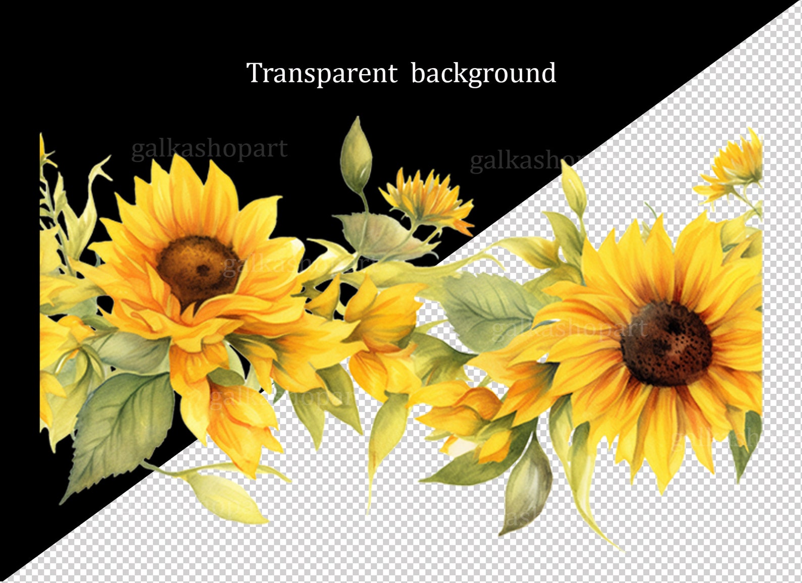 Sunflowers Border Clipart; Floral Frame PNG; Watercolor Flower Garland ...
