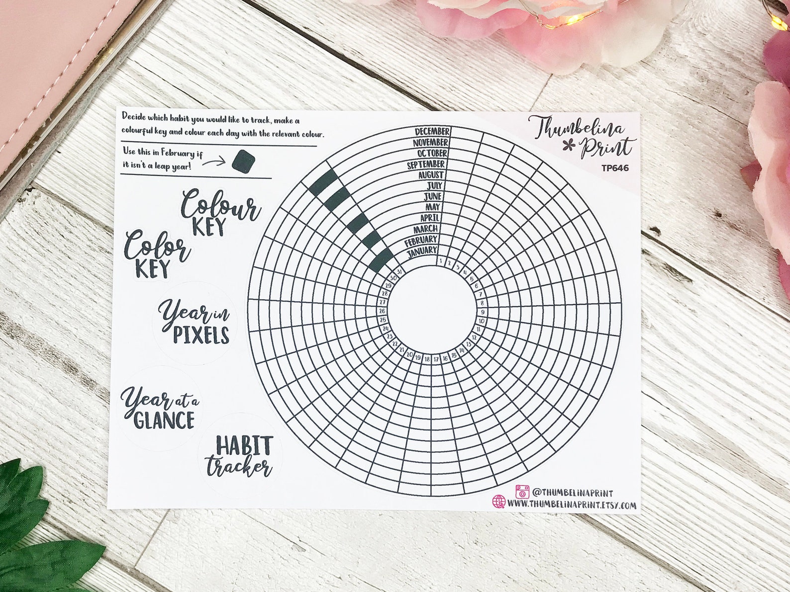 Circular Year in Pixels Planner Sticker Bullet Journal - Etsy UK
