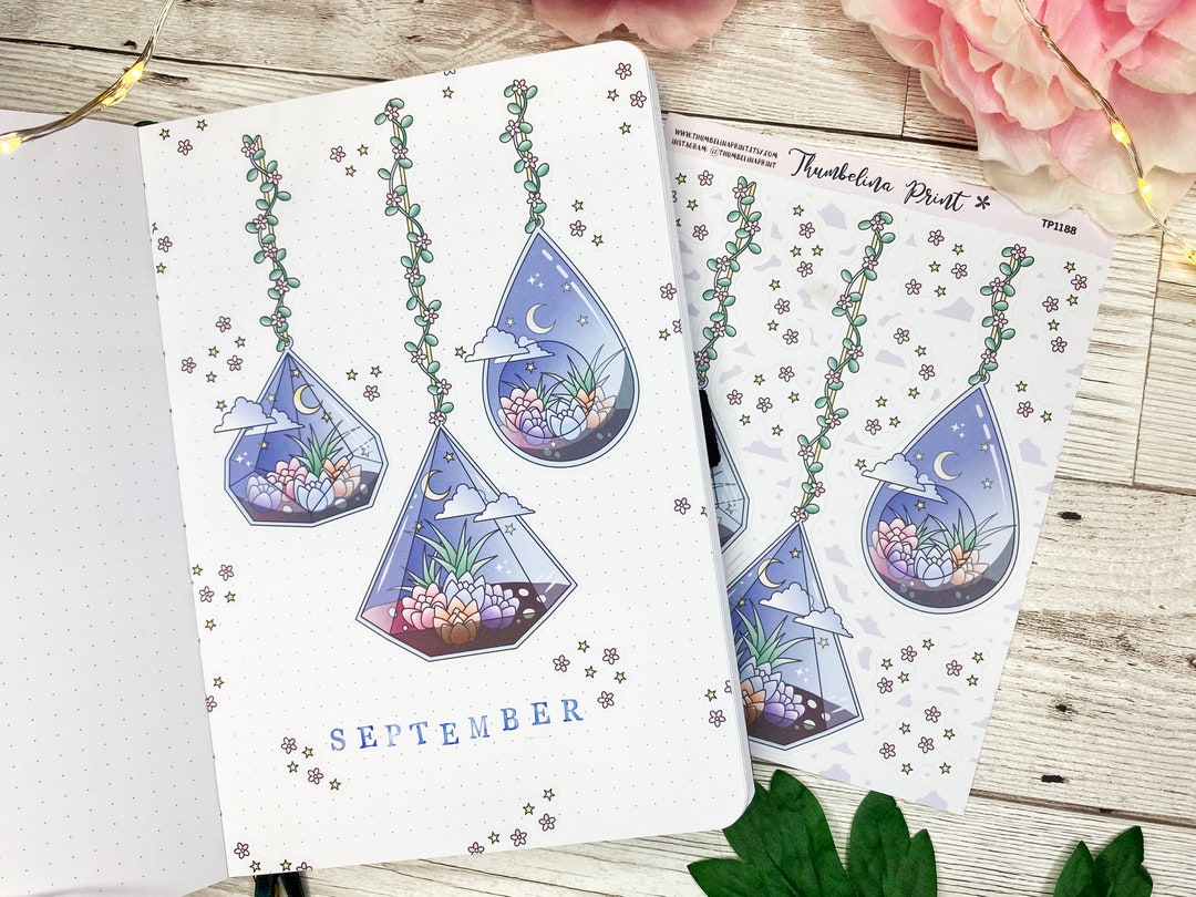 Midnight Terrariums Title Page | Decorative & Functional Planning ...