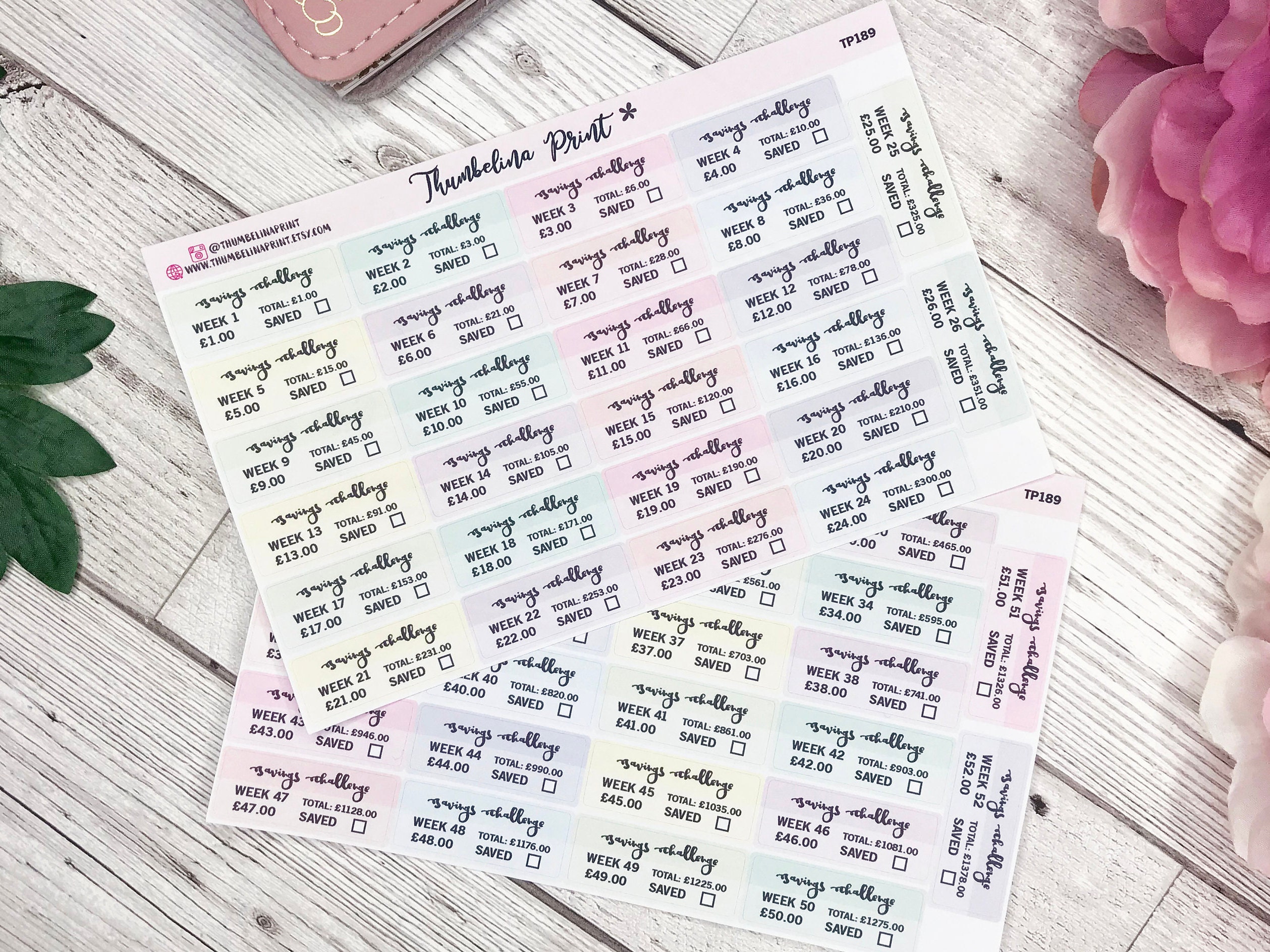 Money Saving Challenge Stickers for Decorative and Functional | Etsy