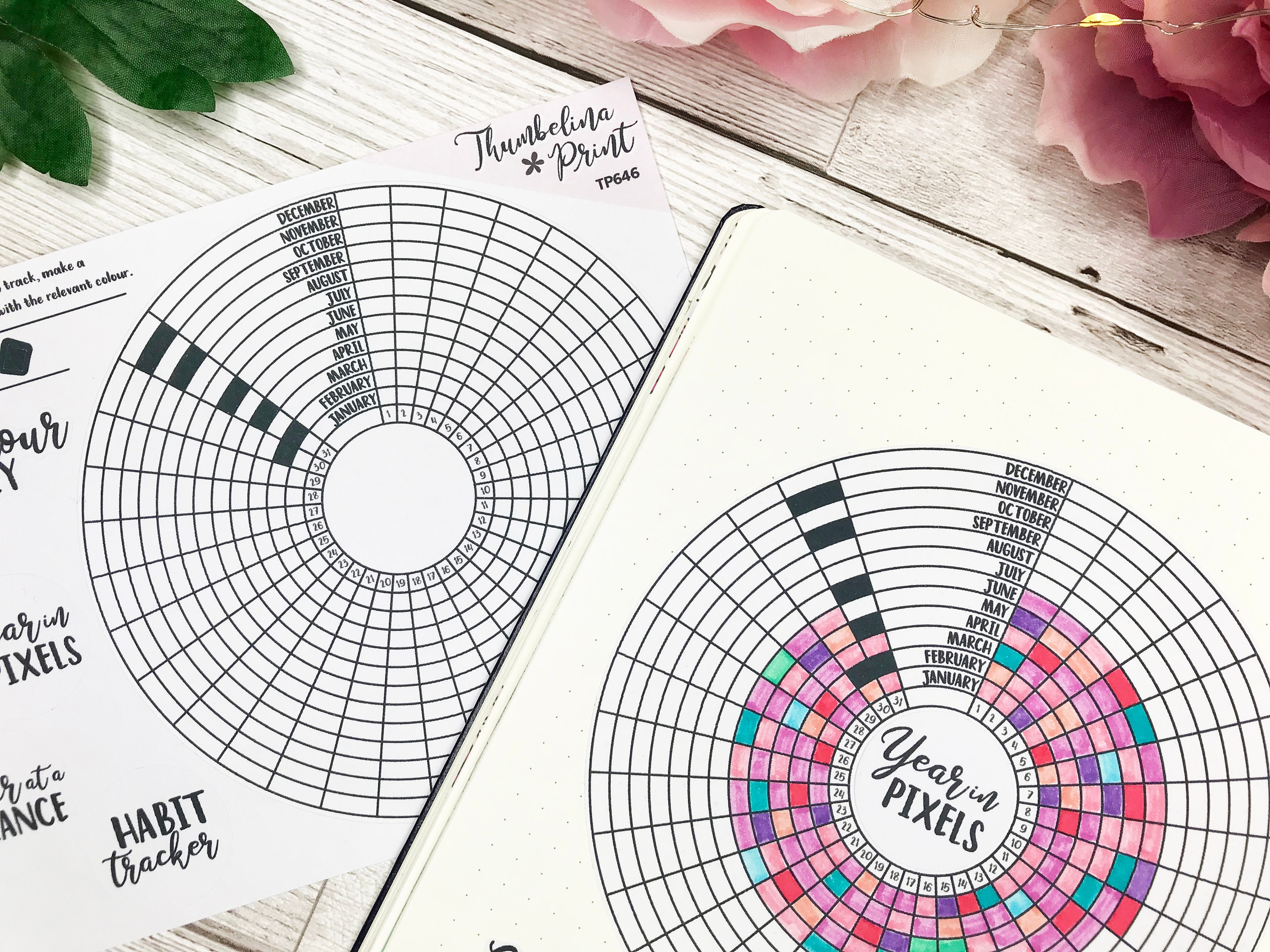 Circular Year in Pixels Planner Sticker Bullet Journal - Etsy UK