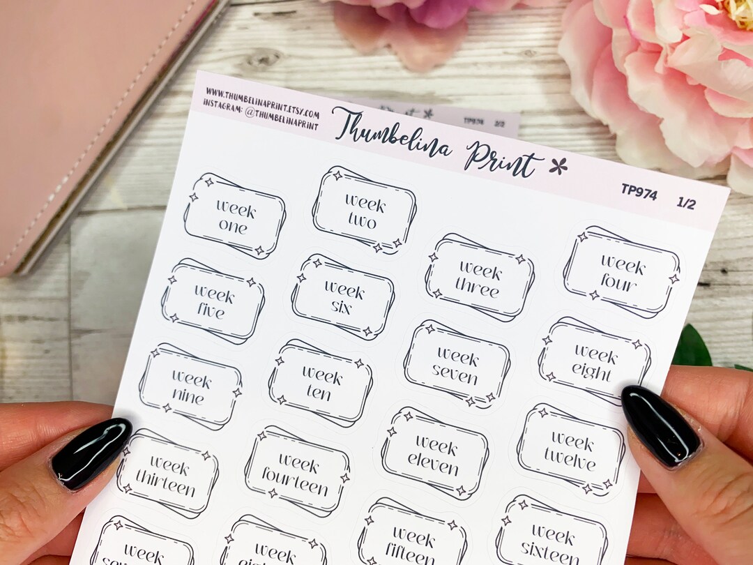 Week Counter Planner Stickers | Decorative & Functional Planning ...