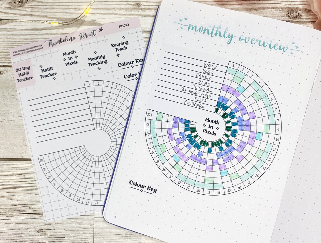 30 Day Large Circular Monthly Tracker Planner Sticker | Journal | Notes ...