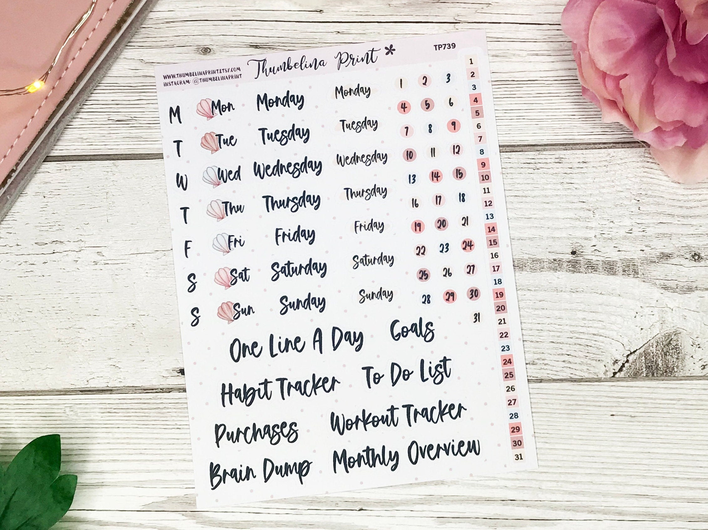 Paper & Party Supplies Paper Paper Due Script Stickers for Functional ...