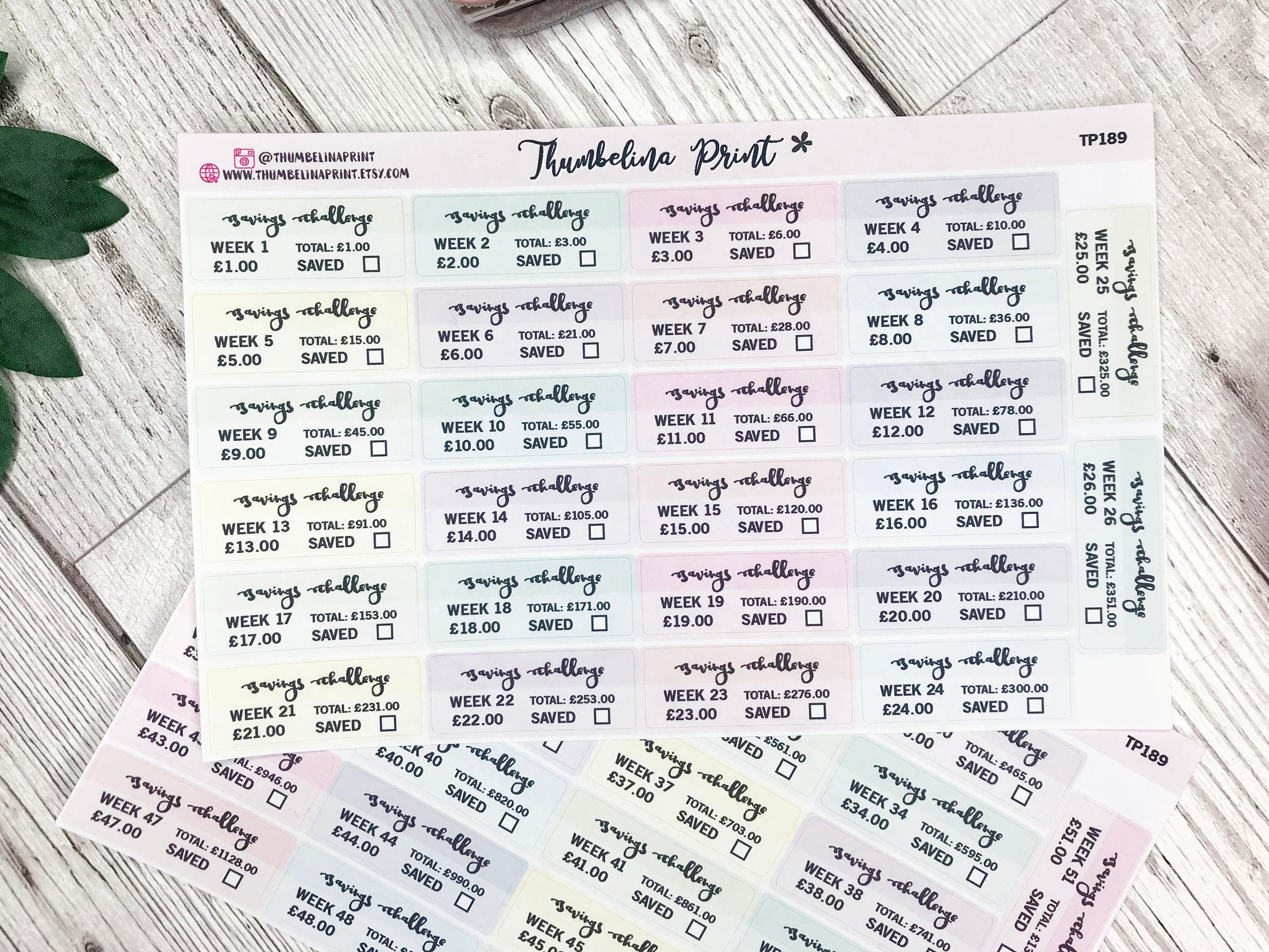 Money Saving Challenge Stickers for Decorative and Functional | Etsy