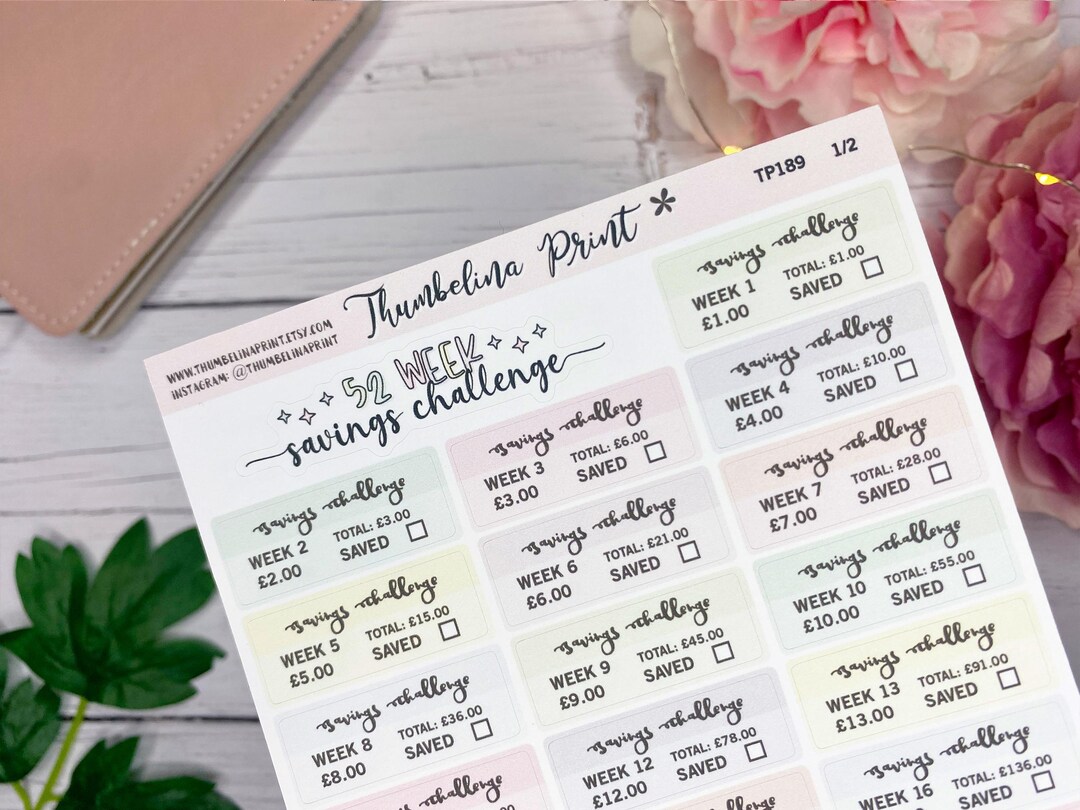 Money Saving Challenge Stickers for Decorative and Functional Planning ...