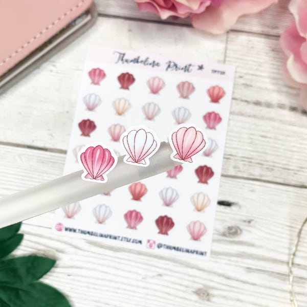 Decorative Scallop Shells - Etsy