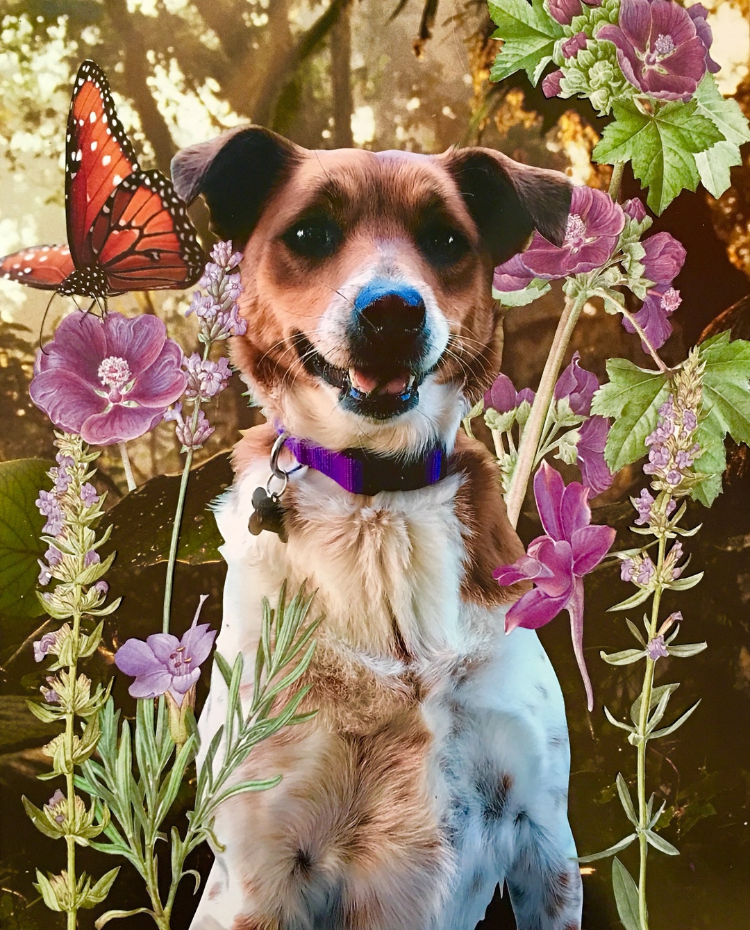 Custom Pet Collage - Etsy