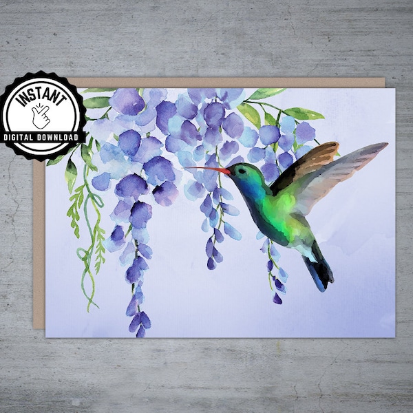 Hummingbird Card - Etsy