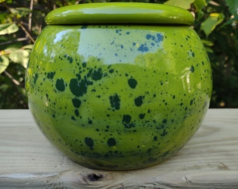 African Violet Pot, Planter, Self Watering, Ceramic, Black, Blue ...