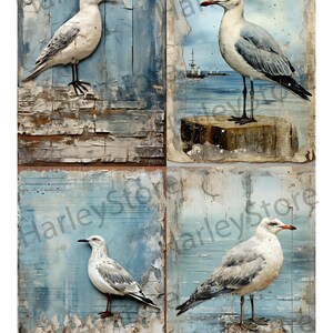 Seagull Printable Ephemera Watercolor Clipart JPG Elements Commercial ...
