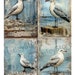 Seagull Printable Ephemera Watercolor Clipart JPG Elements Commercial ...