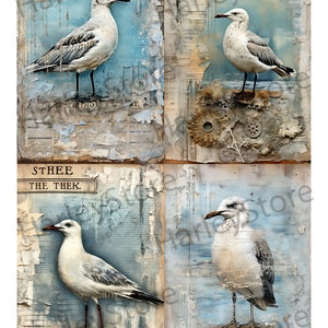 Seagull Printable Ephemera Watercolor Clipart JPG Elements Commercial ...
