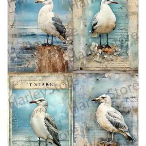 Seagull Printable Ephemera Watercolor Clipart JPG Elements Commercial ...