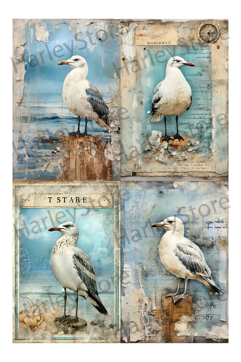 Seagull Printable Ephemera Watercolor Clipart JPG Elements Commercial ...