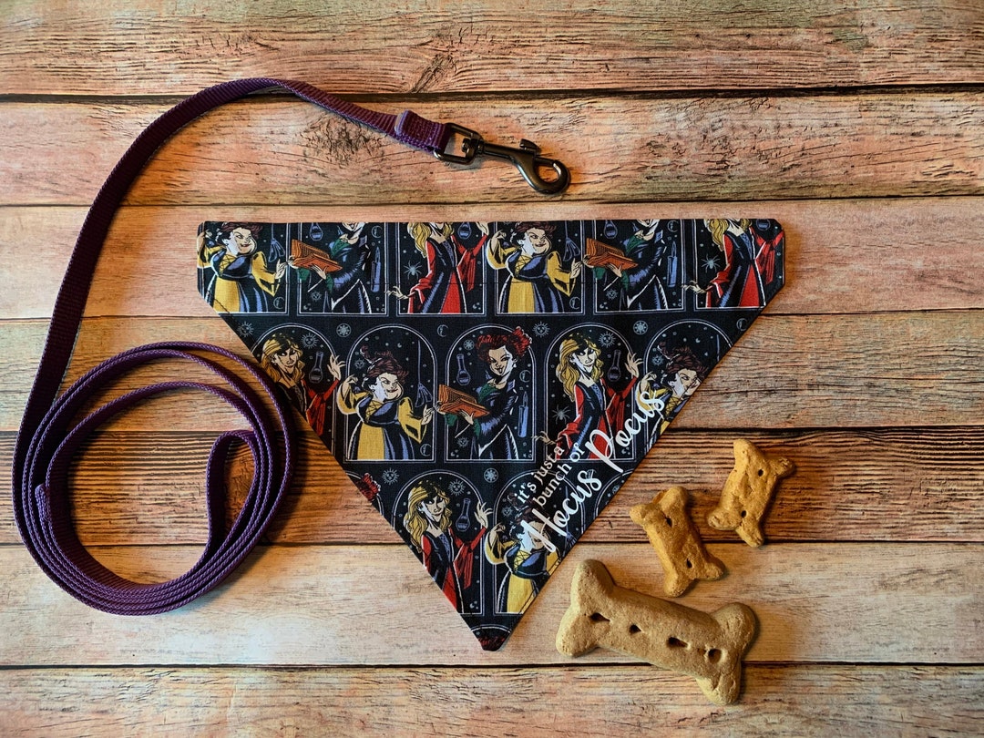 Hocus Pocus Dog Bandana Limited Edition - Etsy