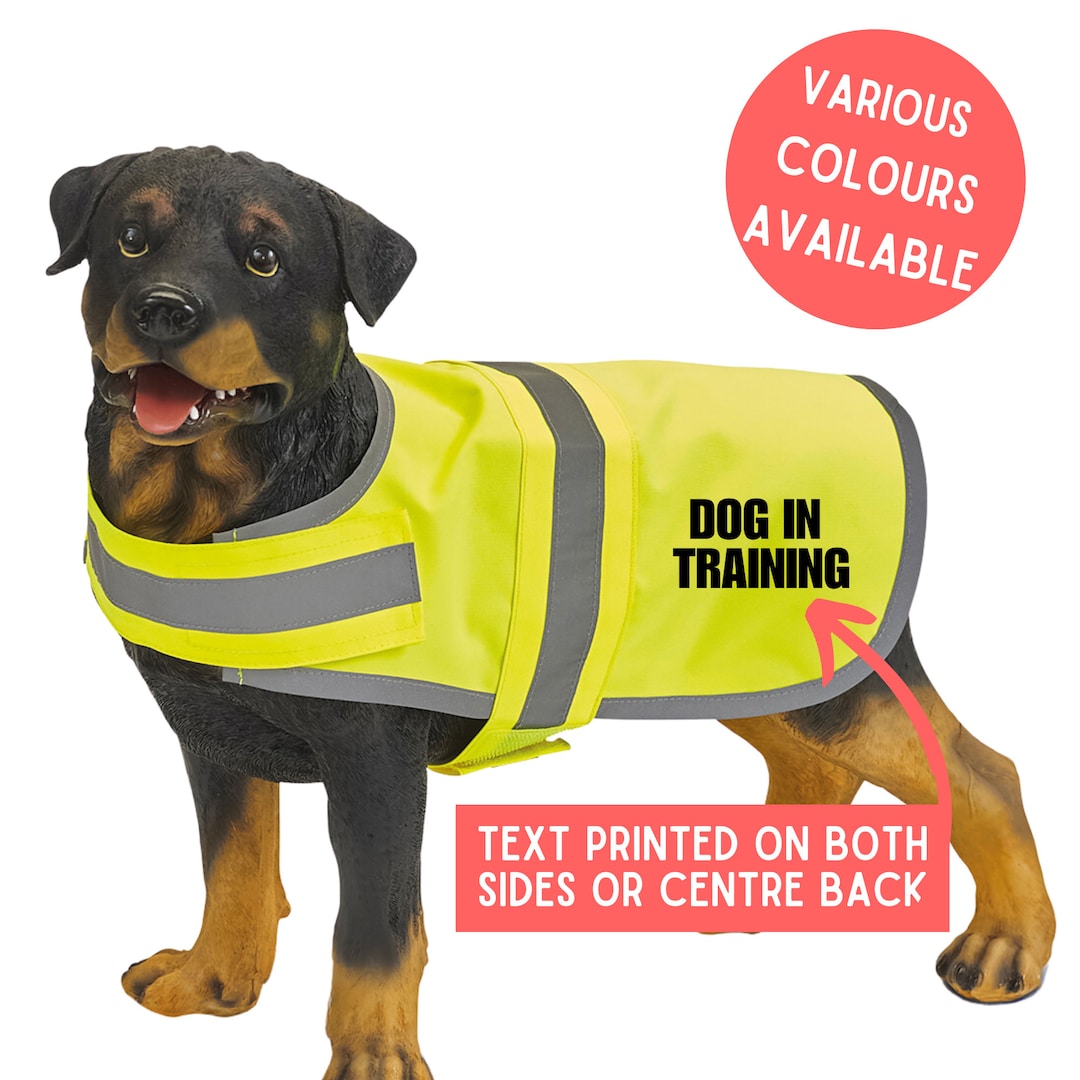 Dog in Training Hi Vis Dog Vest Pet Vest Hi Visibility Dog Walking Vest ...