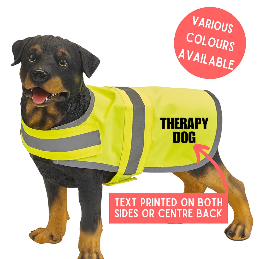 Therapy Dog Hi Vis Dog Vest Pet Vest Hi Visibility Dog Walking Vest ...