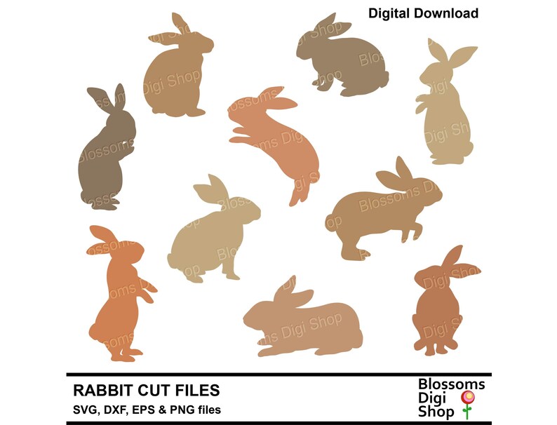 Archivos de corte de conejo, SVG de conejo, EPS de conejo, vector de ...