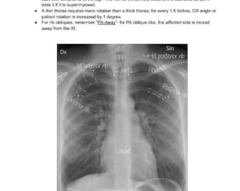 Rad Notes - General Anatomy & Positioning Considerations - Radiography ...