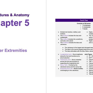 Rad Notes - Lower Extremity - Radiography Study Guide *digital Copy* - Etsy