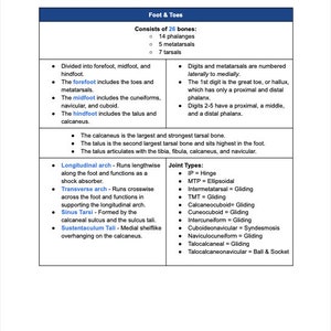 Rad Notes Lower Extremity Radiography Study Guide digital Copy - Etsy