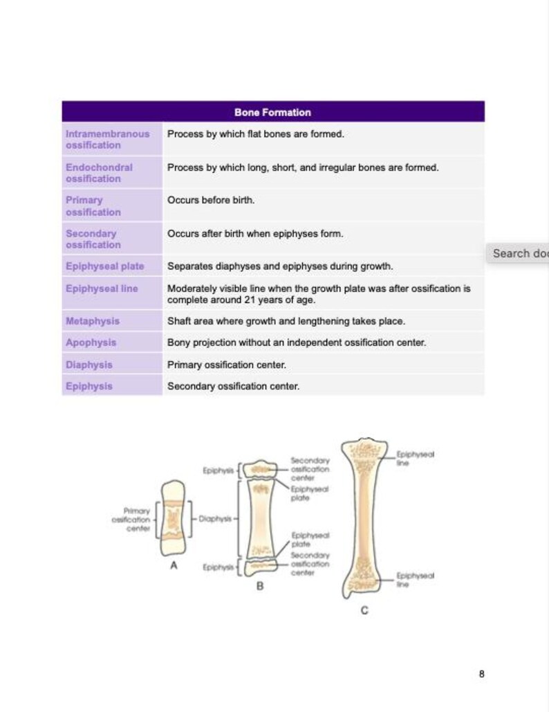 Rad Notes - General Anatomy & Positioning Considerations - Radiography ...