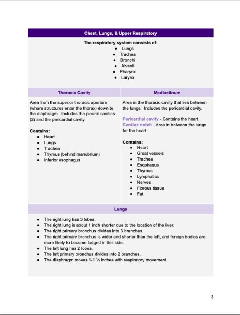 Rad Notes - Thorax & Abdomen - Radiography Study Guide *digital Copy ...