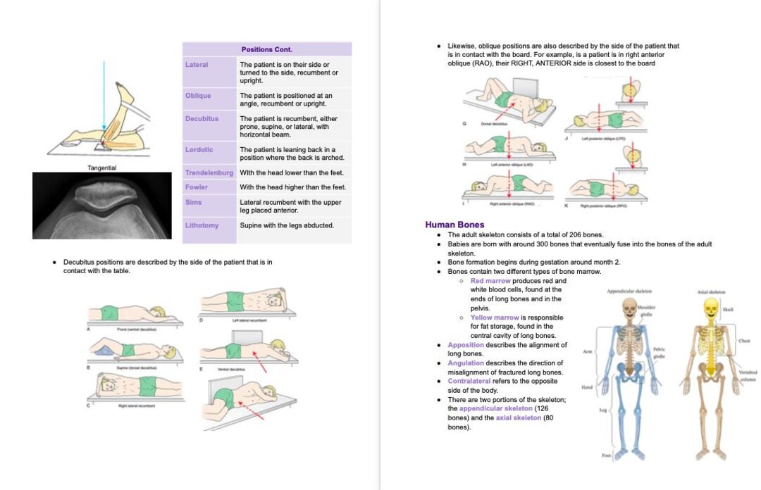 Rad Notes - General Anatomy & Positioning Considerations - Radiography ...