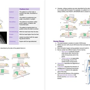 Rad Notes - General Anatomy & Positioning Considerations - Radiography ...