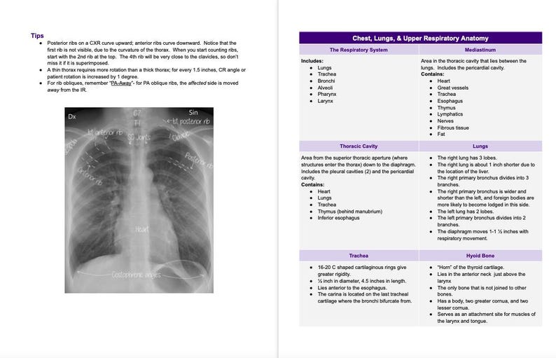 Rad Notes - Chest & Abdomen - Radiography Study Guide *digital Copy* - Etsy