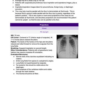 Rad Notes - Thorax & Abdomen - Radiography Study Guide *digital Copy ...