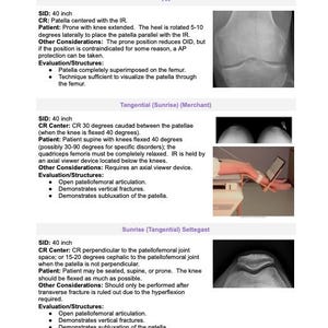 Rad Notes - Lower Extremity - Radiography Study Guide *digital Copy* - Etsy