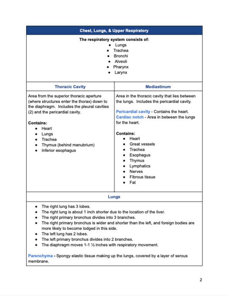 Rad Notes Thorax & Abdomen Radiography Study Guide digital Copy - Etsy