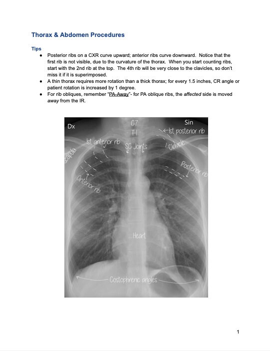 Rad Notes Thorax & Abdomen Radiography Study Guide digital Copy - Etsy