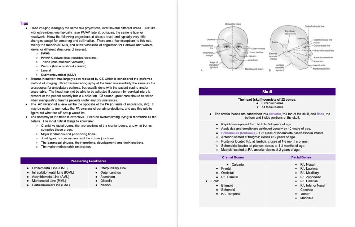Rad Notes - Head Procedures - Radiography Study Guide *digital Copy* - Etsy