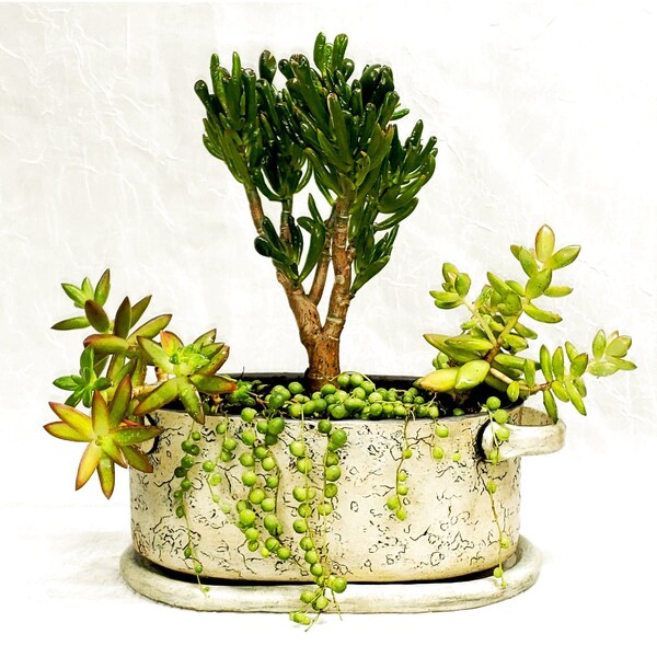 12 Inch Planter - Etsy