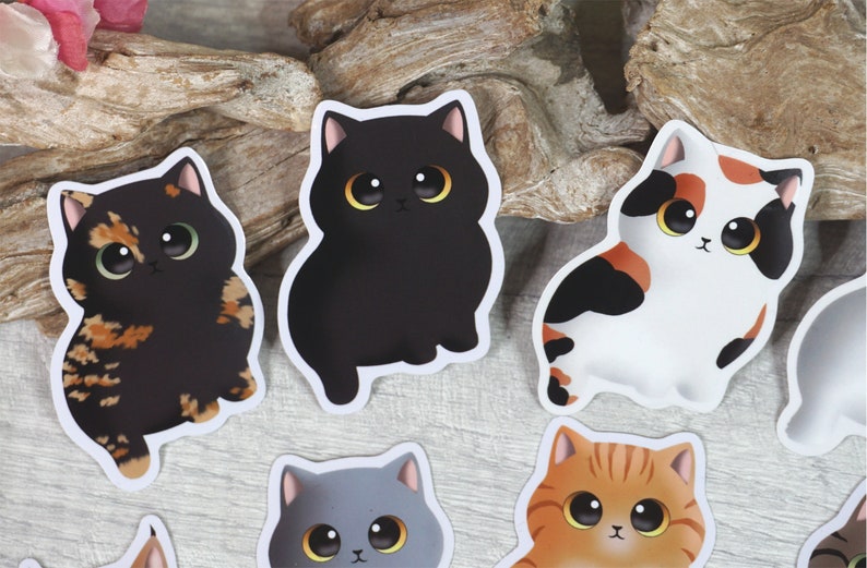 Sticker, Cat, Siamese, Chartreux, Maine Coon, Angora, Calico Cat ...