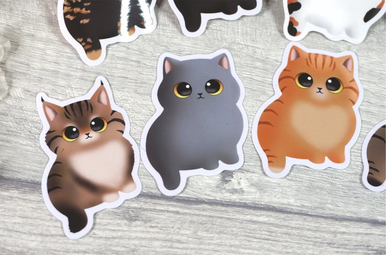 Sticker, Cat, Siamese, Chartreux, Maine Coon, Angora, Calico Cat ...