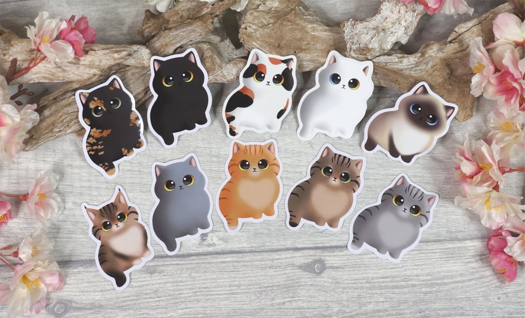 Sticker, Cat, Siamese, Chartreux, Maine Coon, Angora, Calico Cat ...