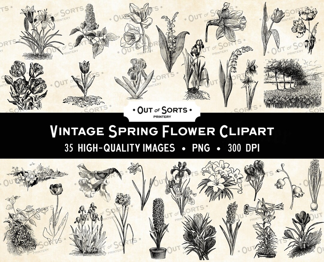 Spring Flowers, Antique Botanical Clipart, Vintage Floral, Easter ...